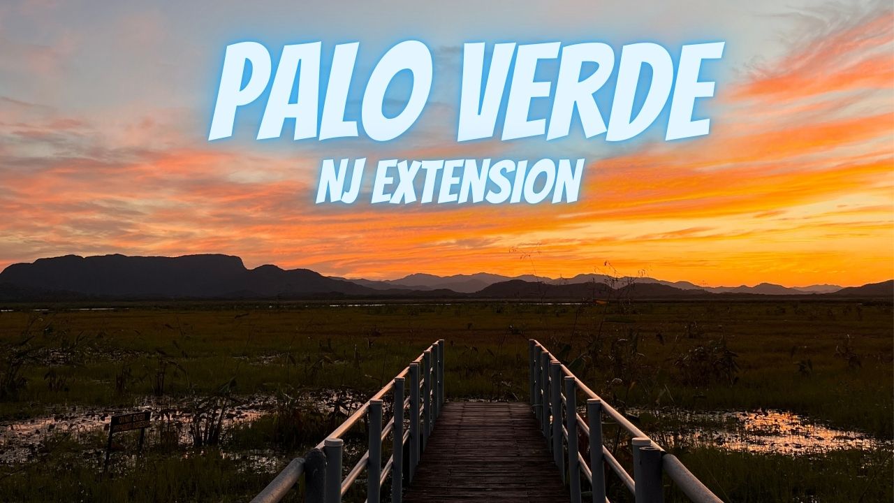 Palo Verde Extension - Marley Peifer