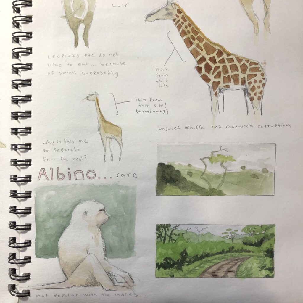 How to Use a Viewfinder for Drawing Landscapes - Marley Peifer