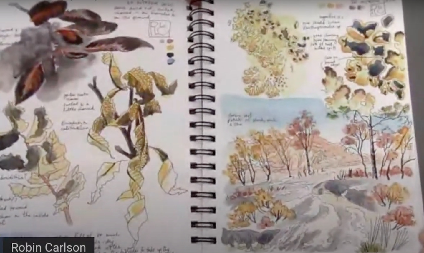 Nature Journaling Ecosystem Change with Robin Carlson - Marley Peifer