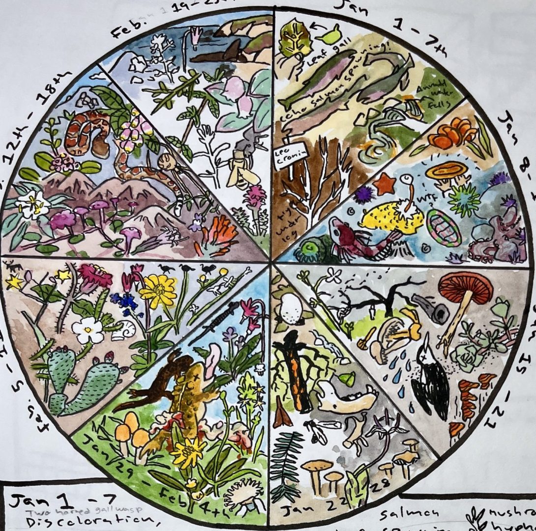 Phenology Wheel: Avoid these Mistakes - Marley Peifer